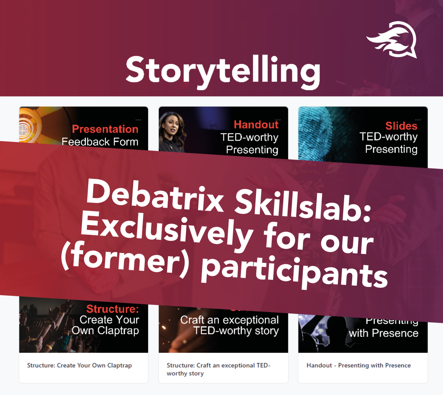 Debatrix Skillslab – Debatrix International